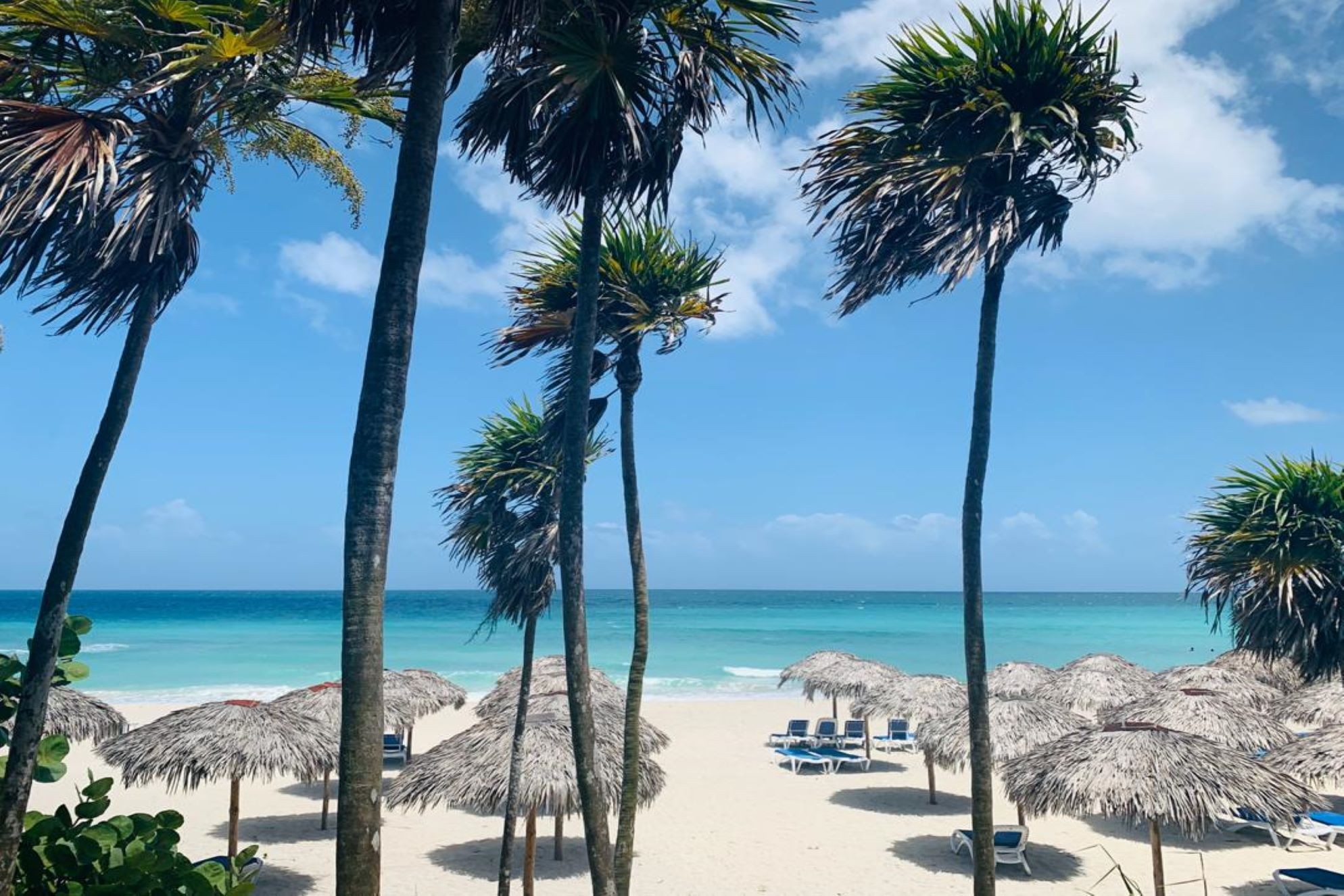 Tailor-made tours, packages, hotels, cars Sol Palmeras - Double